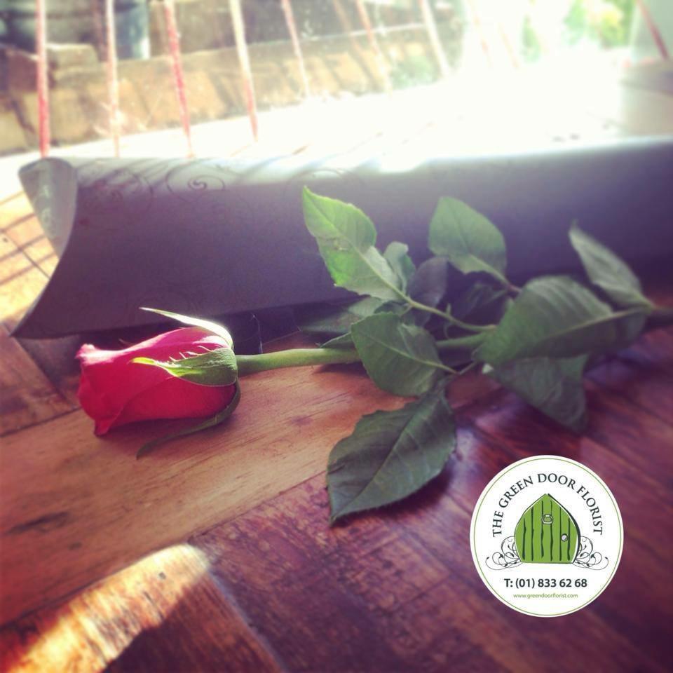 Single Red Rose - Gift Wrapped - The Green Door Florist